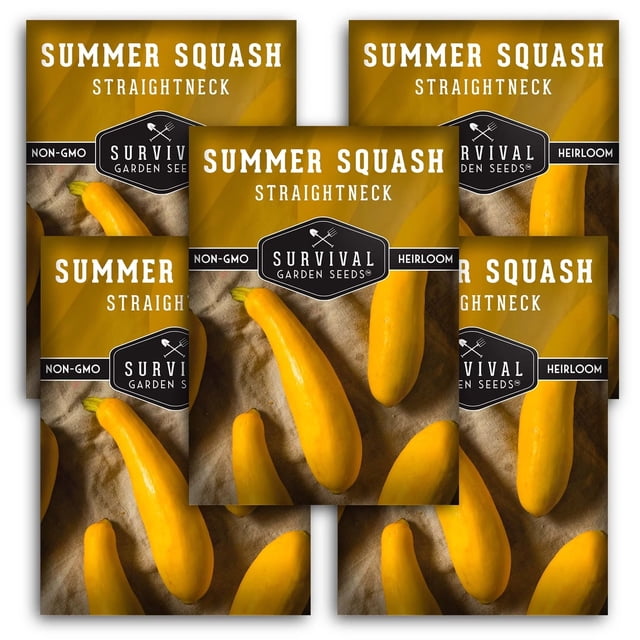 5 packs Straightneck Summer Squash Seed - Non-GMO Heirloom Full Sun ...