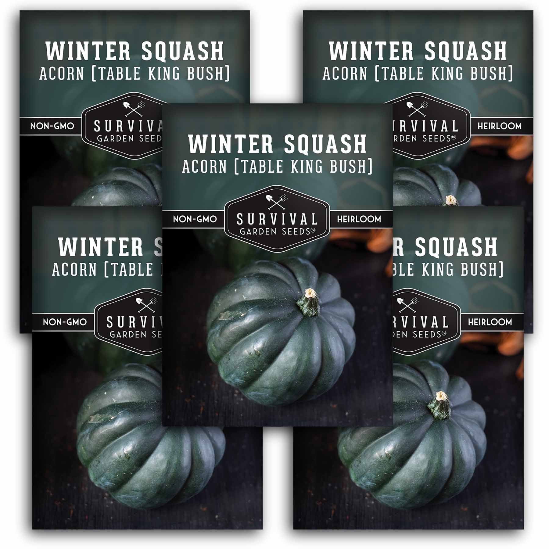 5 packs Table King Acorn Squash Seeds - Heirloom Annual Full Sun ...