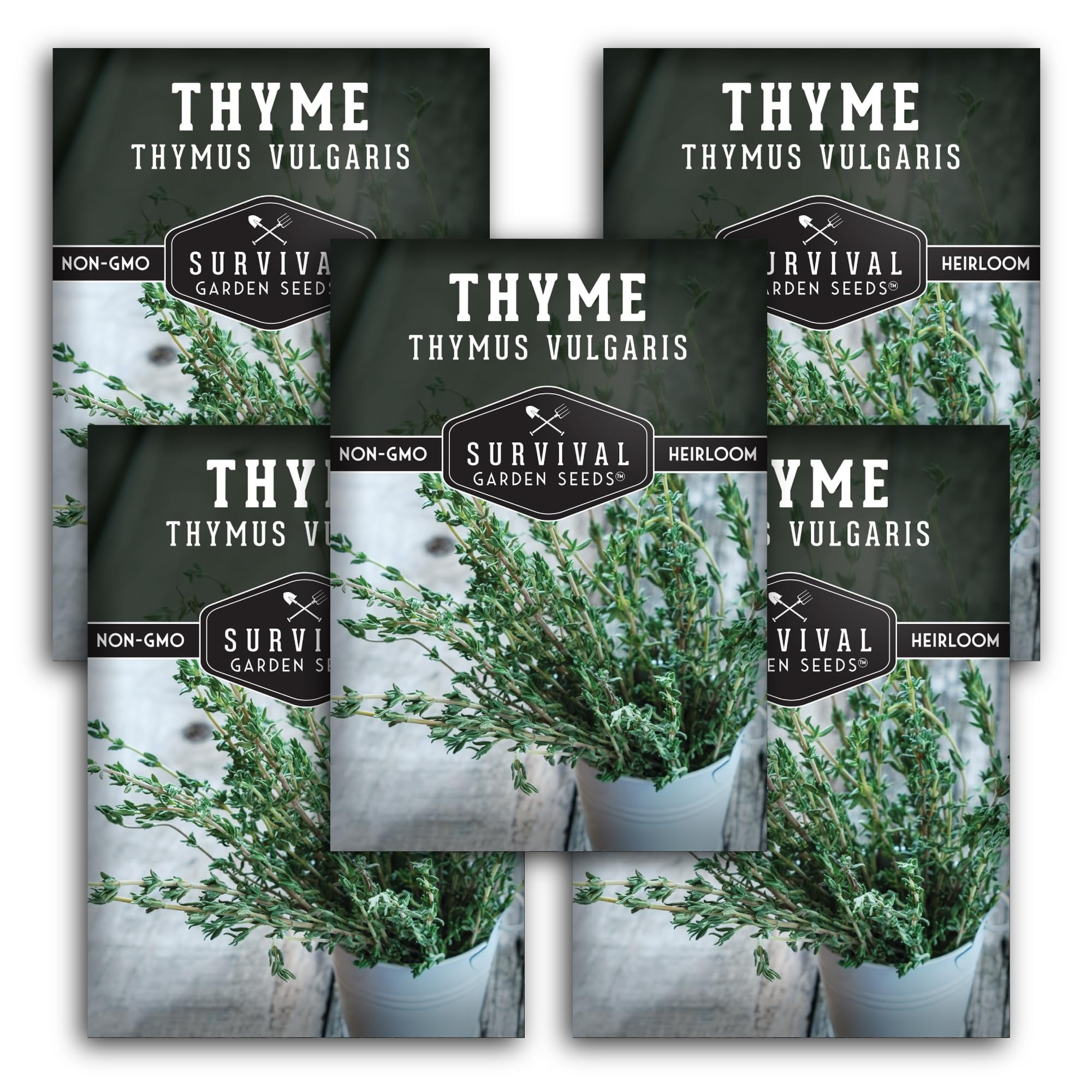 5 Packs Thyme Seed - Non-GMO Heirloom Full Sun Perennial Herb - Walmart.com