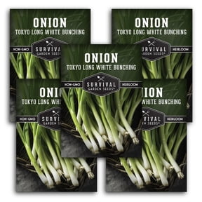 Earthcare Seeds - Bunching Onion Tokyo 300 Seeds (Allium Fistulosum ...