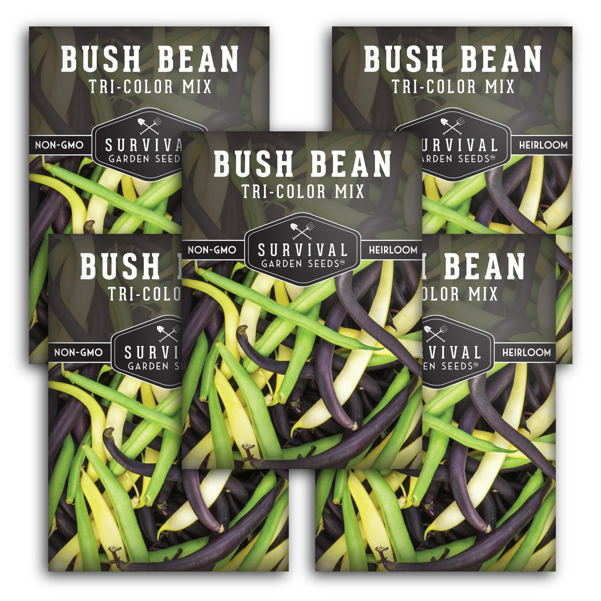 5 Packs Tri-Color Mix Bush Bean Seeds - Non-GMO Heirloom Full Sun ...
