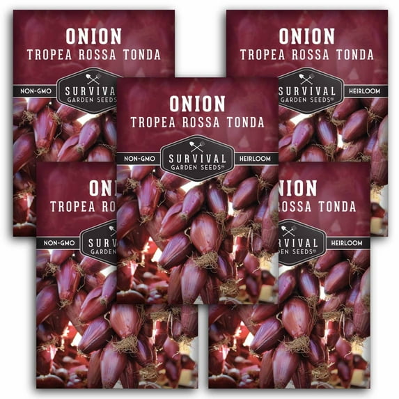 5 packs Tropea Rossa Tonda Onion Seeds - Italian Long-Day Onions - Non-GMO Heirloom Biennial ...