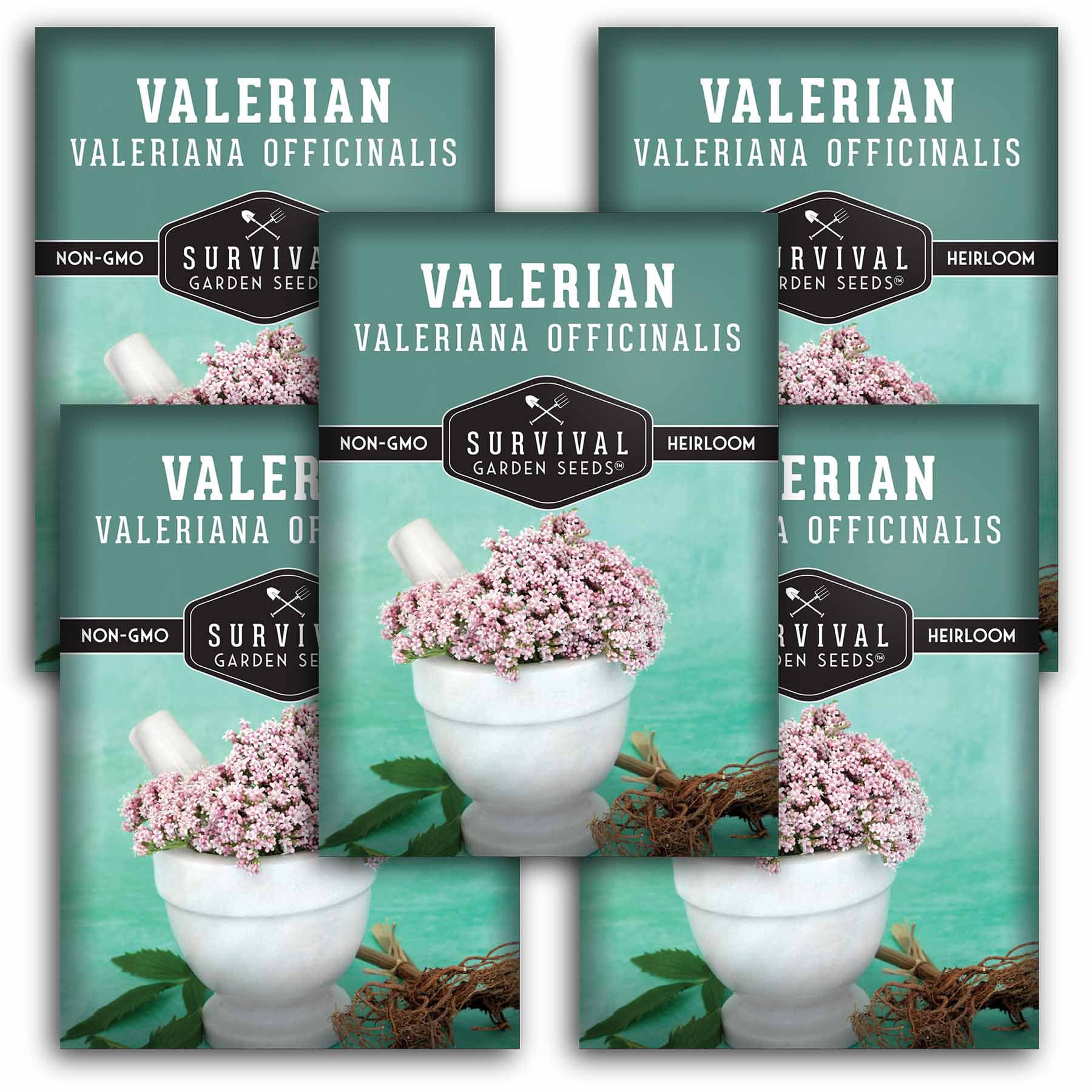 5 Packs Valerian Seeds - Non-GMO Heirloom Perennial Herb - Full Sun ...