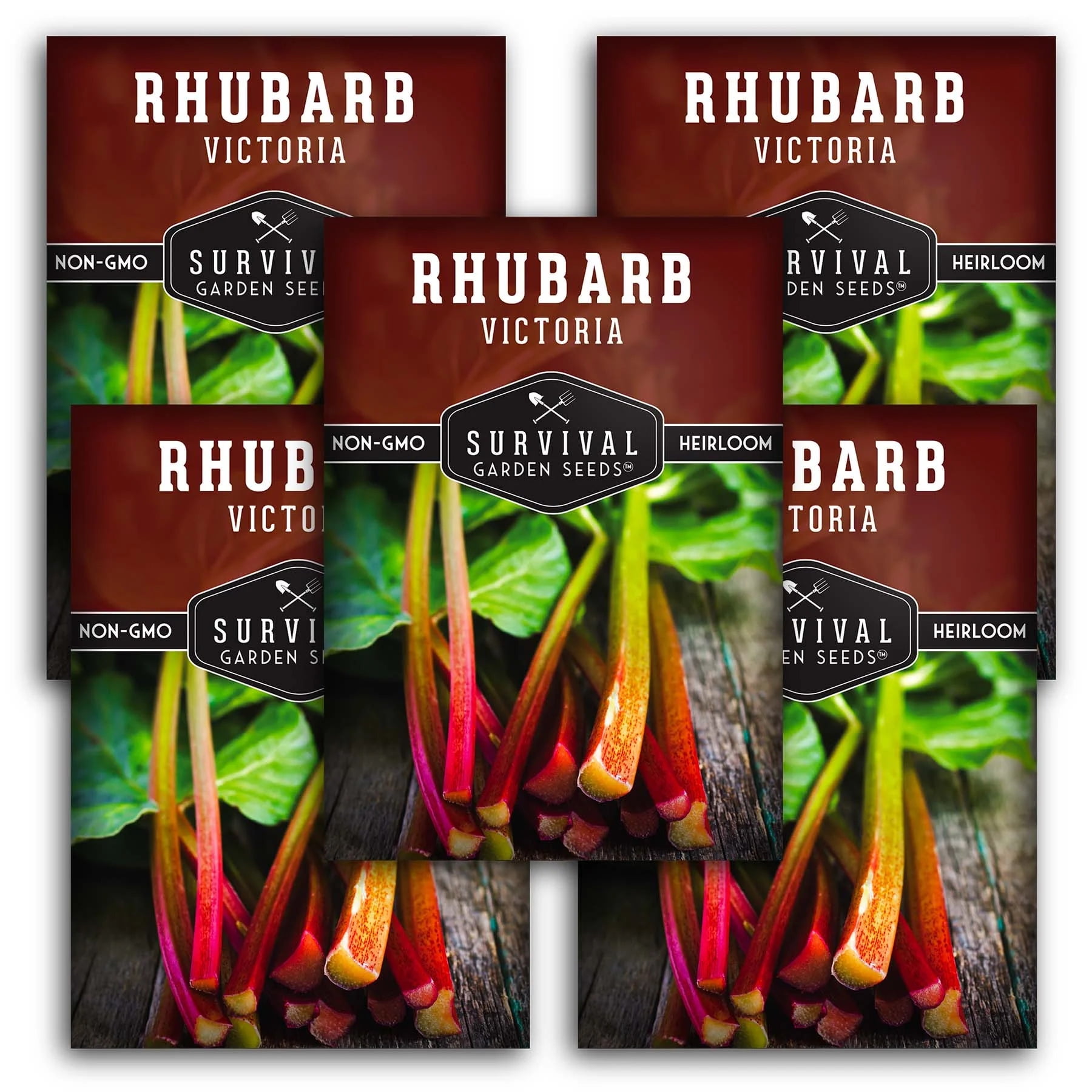 5 Packs Victoria Rhubarb Seeds - Non-GMO Heirloom Full Sun Perennial ...