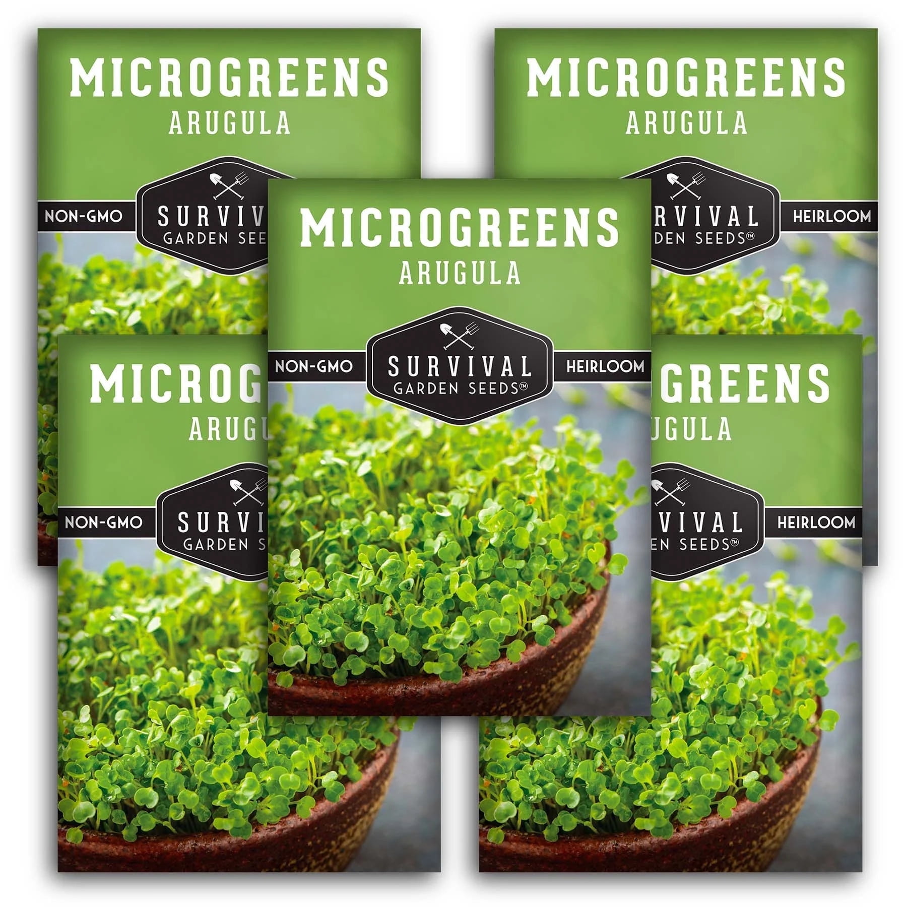 5 Packs of Arugula Seed for Microgreens - Non-GMO Heirloom Full Sun ...