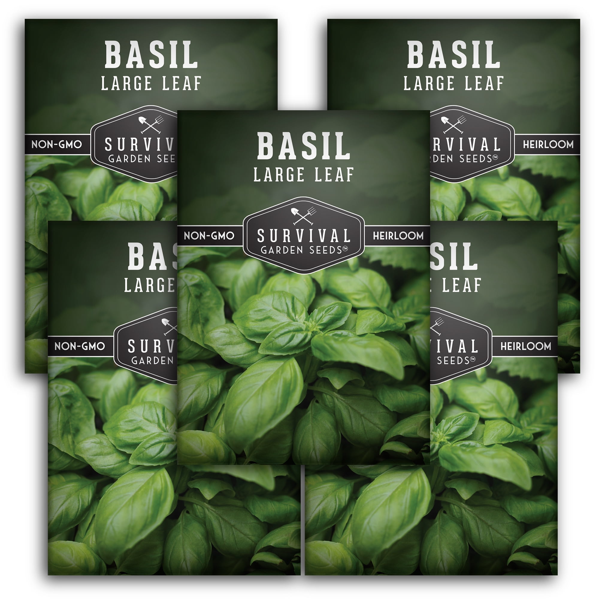 5 Packs of Large Leaf Basil Seed - Non-GMO Heirloom Full Sun Herb ...