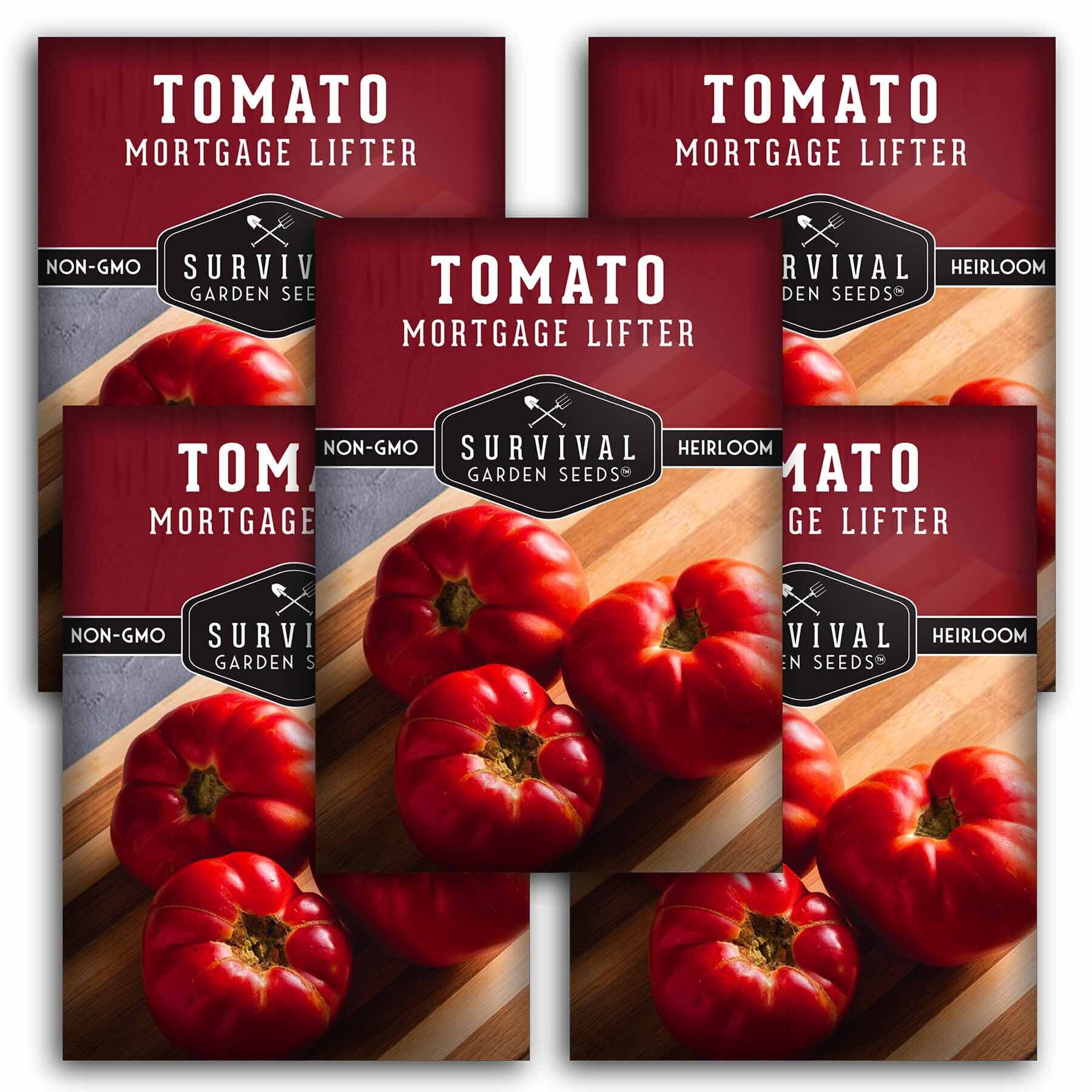 5 Packs of Mortgage Lifter Tomato Seeds - Non-GMO Heirloom Full Sun ...