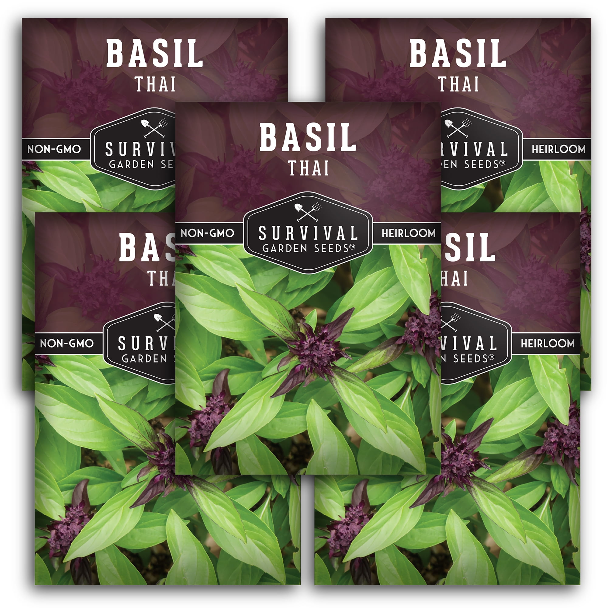5 packs of Thai Basil Seed - Herb Seeds - Full Sun Annual - Walmart.com
