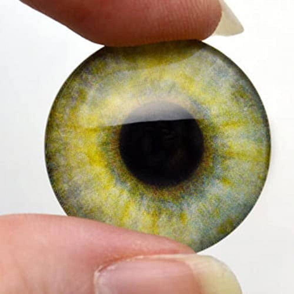 5 Pairs Realistic Human Glass Eye Discounted Bundle II Set of 10 Eyes ...