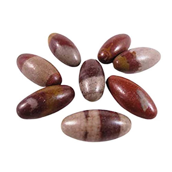 5 Pcs - 1" Narmada Shivling Stone Religious Shiva Lingam Narmada River ...