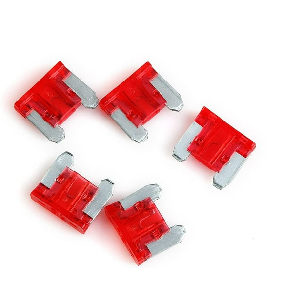 10 Amp Mini Fuse