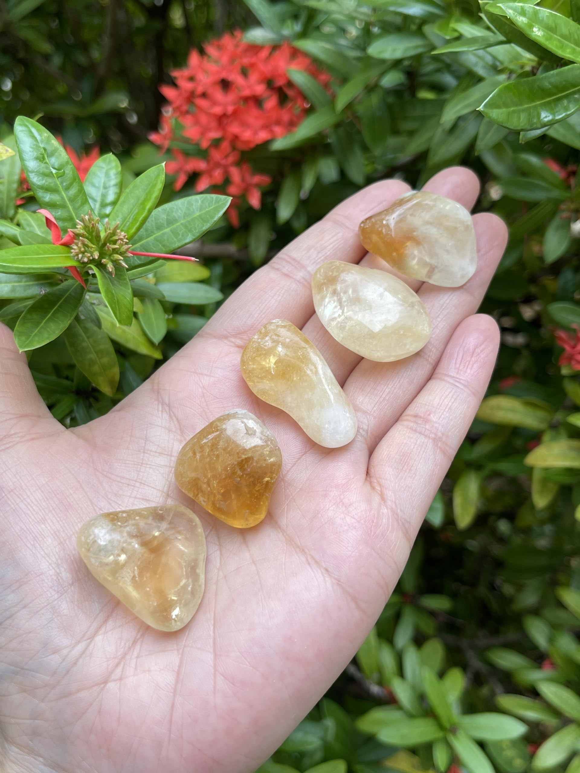 5 Pcs Citrine Tumbled Stones, Polished Citrine Gemstone, Citrine ...
