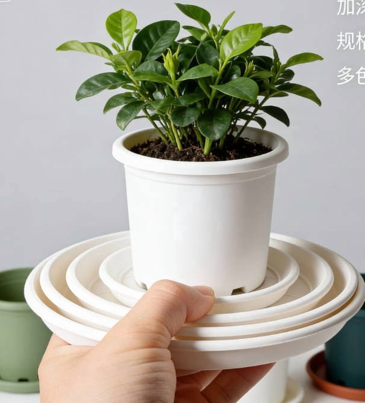 5 Pcs Deep Thickened Plastic Flower Pot Saucers - Round Plant Tray for ...