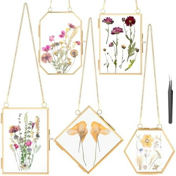 5 Pcs Double Glass Frame for Pressed Flowers, Clear Double Glass ...