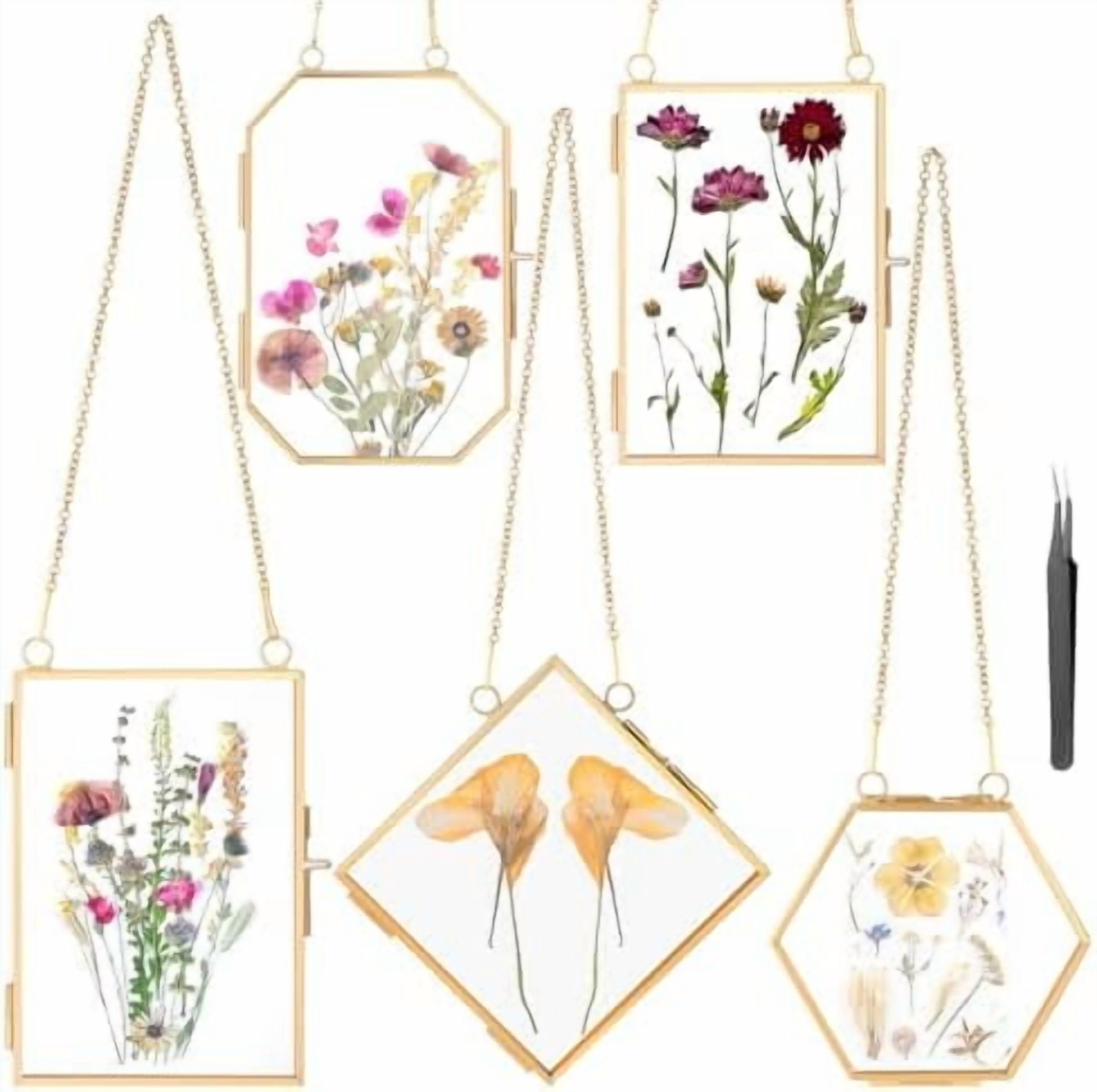 5 Pcs Double Glass Frame for Pressed Flowers, Clear Double Glass ...