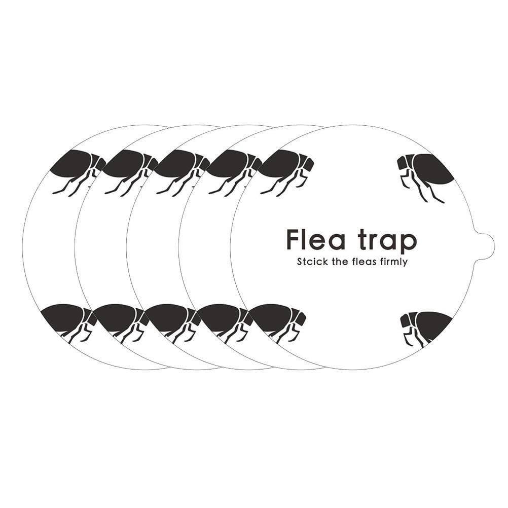 5 Pcs Flea Trap Stickers Round Sticky Fly Traps Dome Flea Trap Refill ...