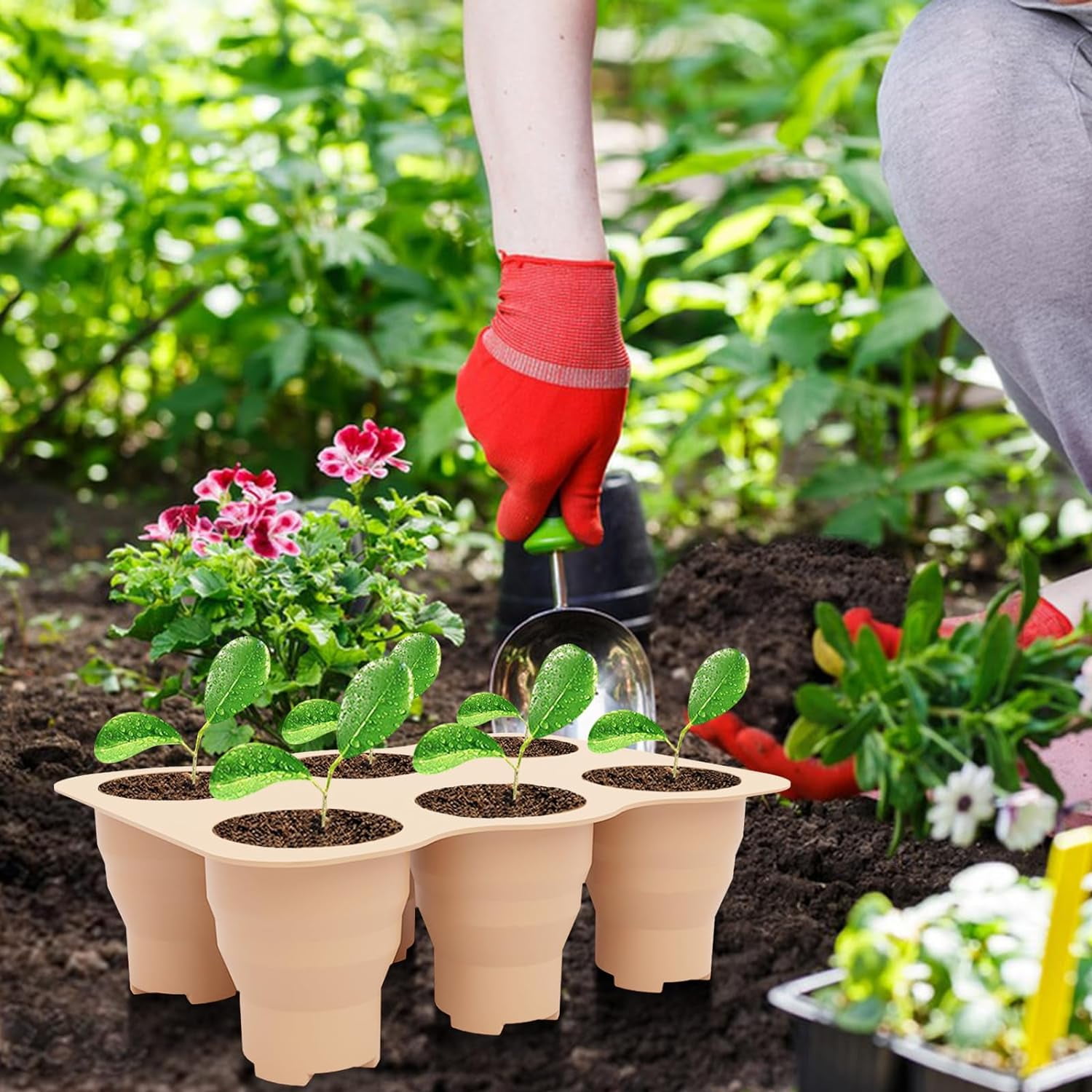 5 Pcs Garden Tool Sets, Silicone Seed Starter Trays, with Garden Hand ...