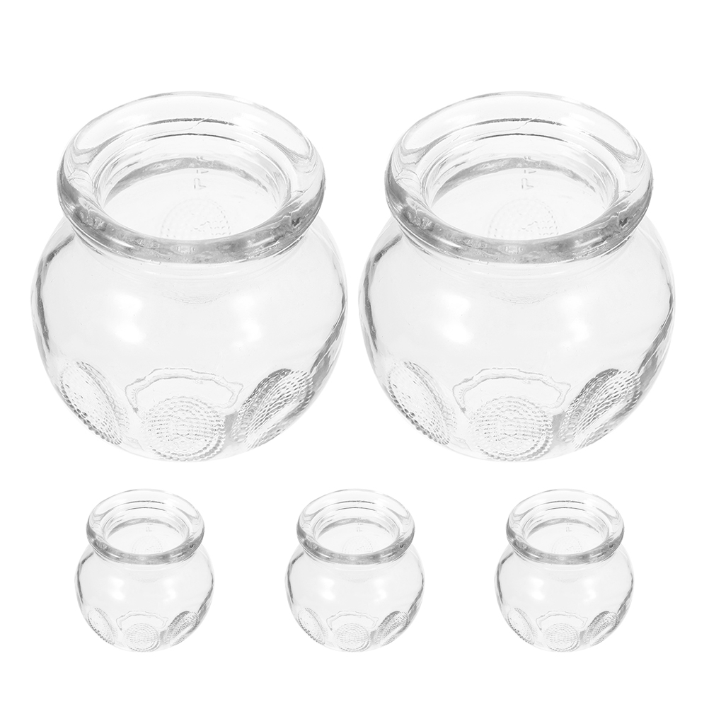 5 Pcs Glass Cupping Set for Massage Fire Therapy Traditional Acupoint ...