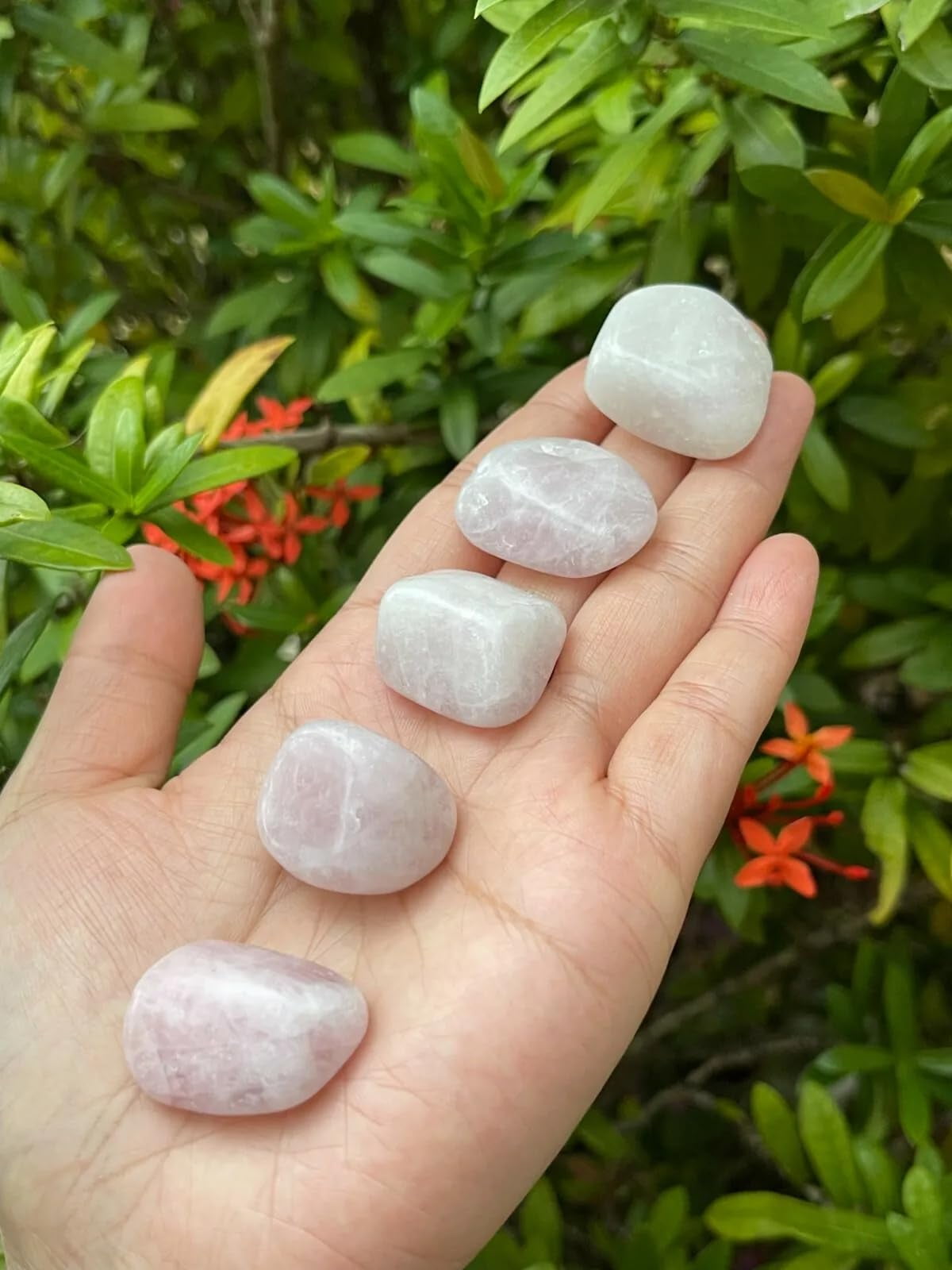 5 Pcs Kunzite Tumbled Stones, Polished Natural Kunzite Gemstone ...