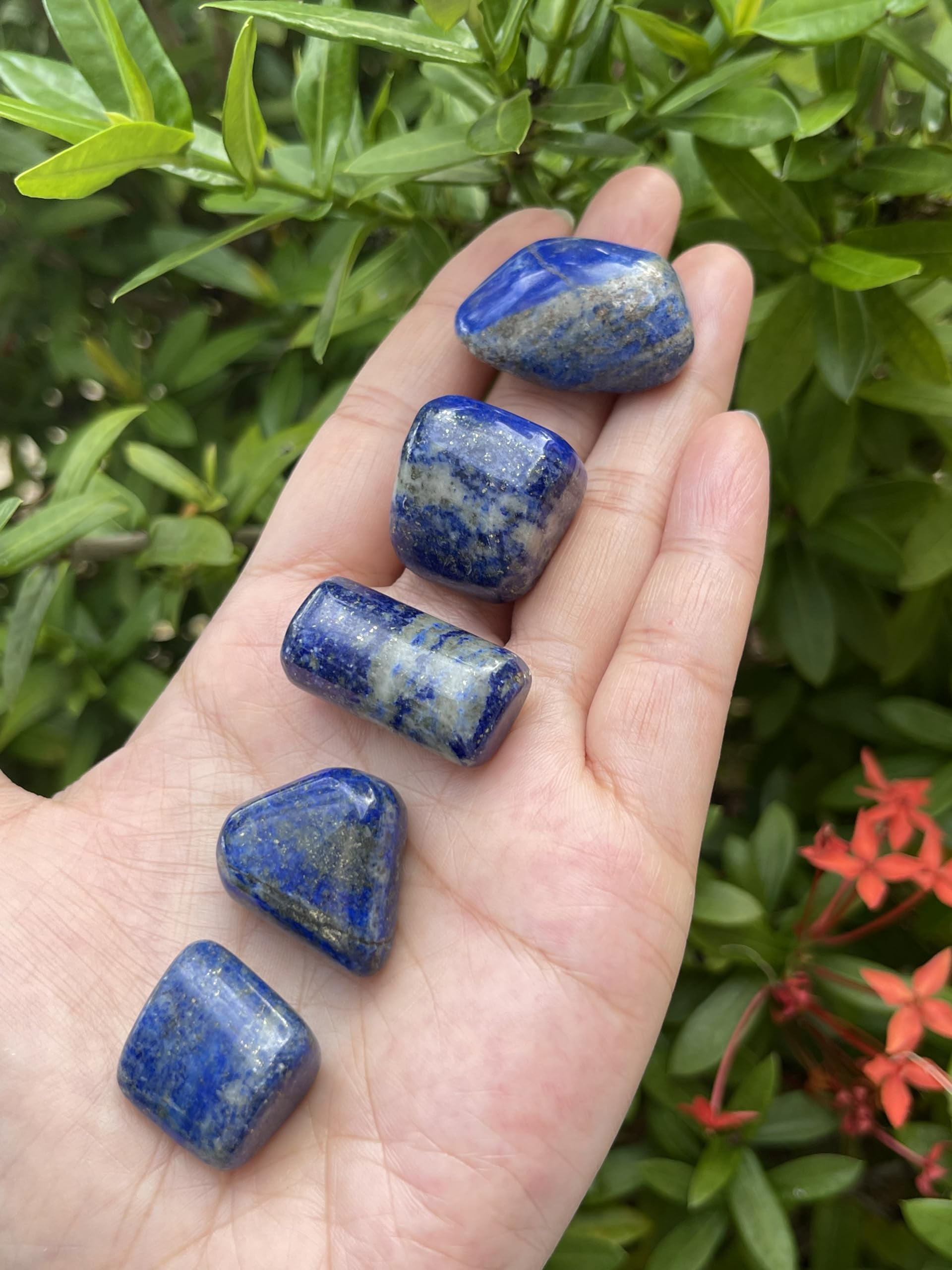 5 Pcs Lapis Lazuli Tumbled Stones, Polished Lapis Lazuli Gemstone, Lapis Lazuli Healing Crystals ...