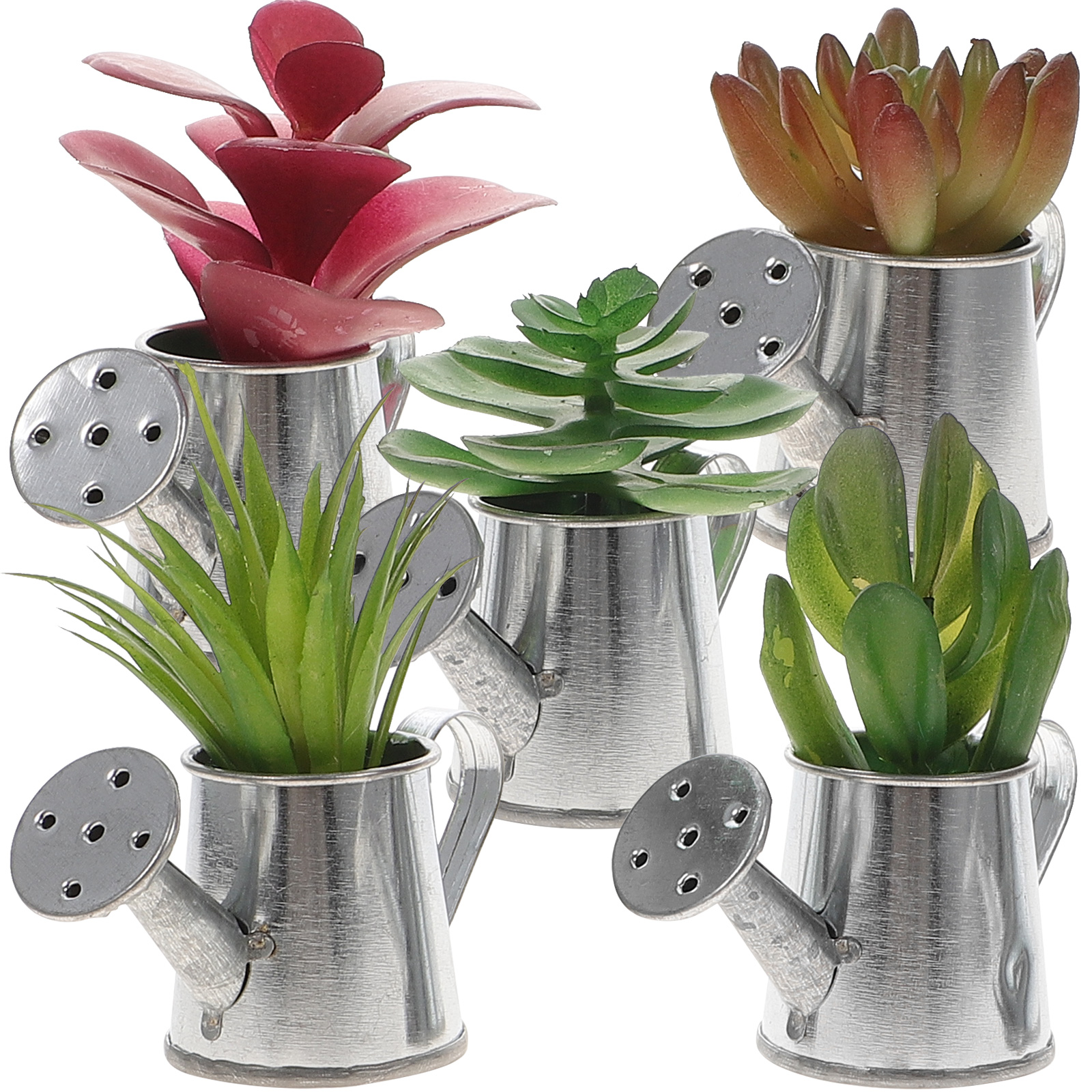 5 Pcs Meaty Fridge Magnets Artificial Plants Fake Bonsai Potted Home ...