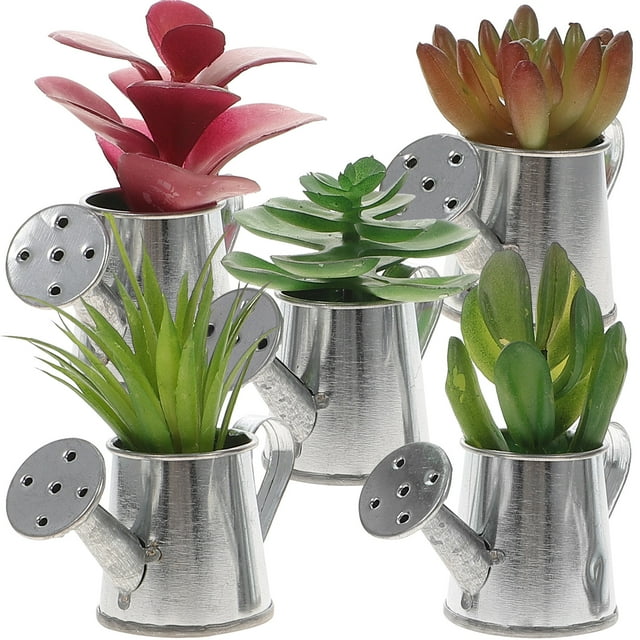 5 Pcs Meaty Fridge Magnets Artificial Plants Fake Bonsai Potted Home ...