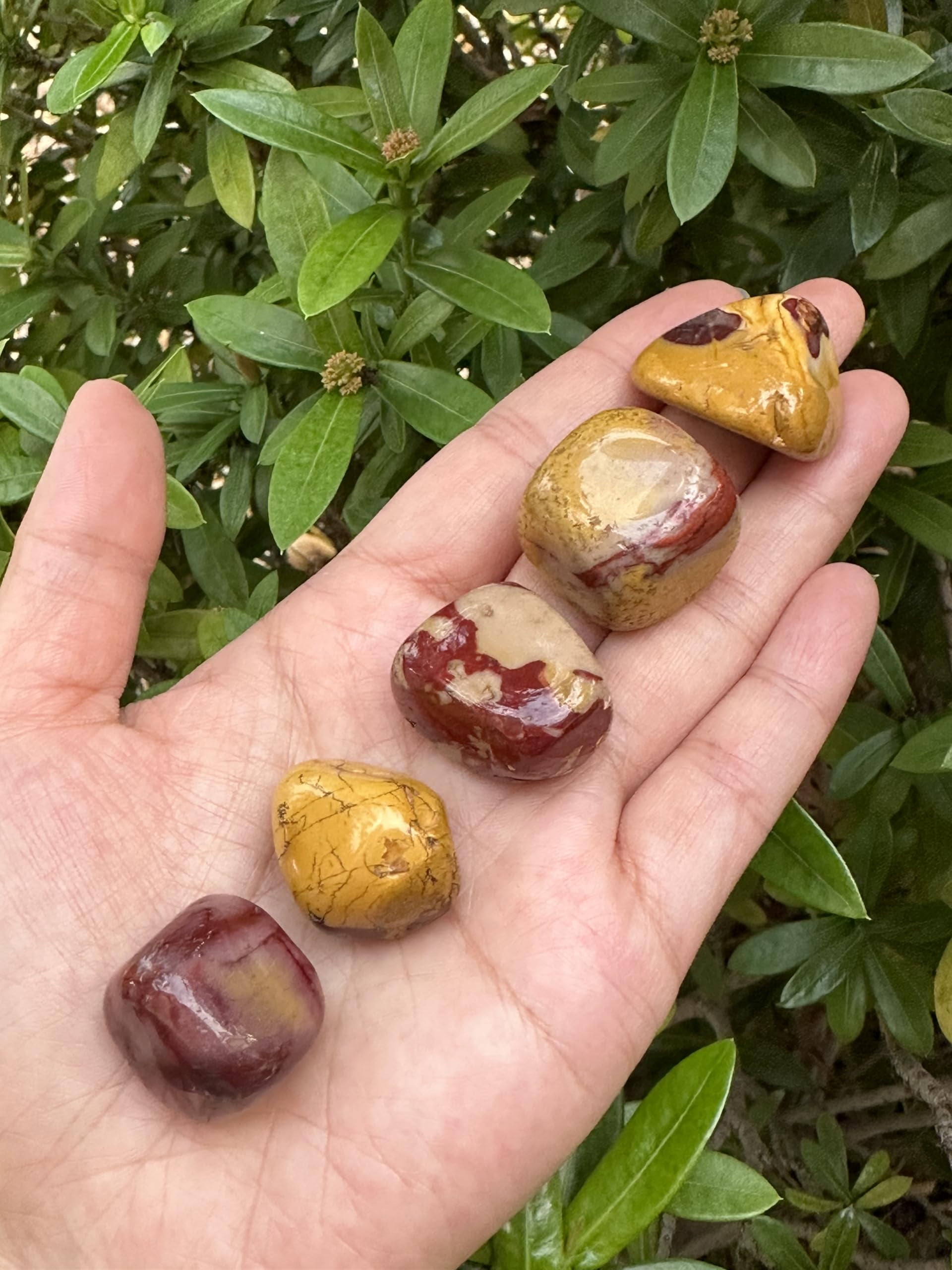 5 Pcs Mookaite Tumbled Stones, Polished Mookaite Gemstone, Mookaite ...
