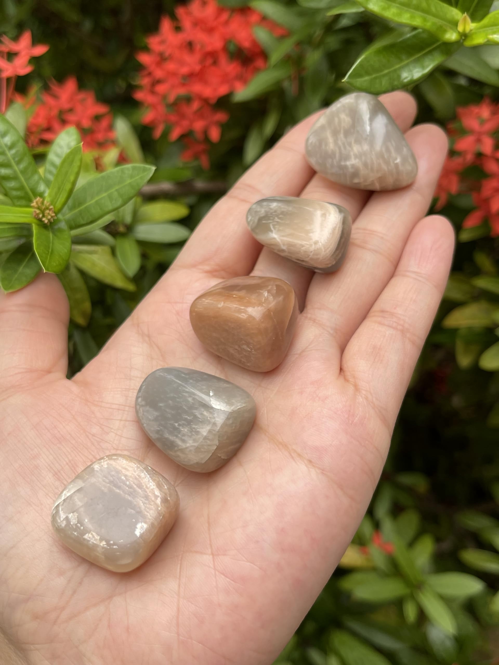 5 Pcs Moonstone Multi Tumbled Stones, Polished Natural Moonstone Multi ...