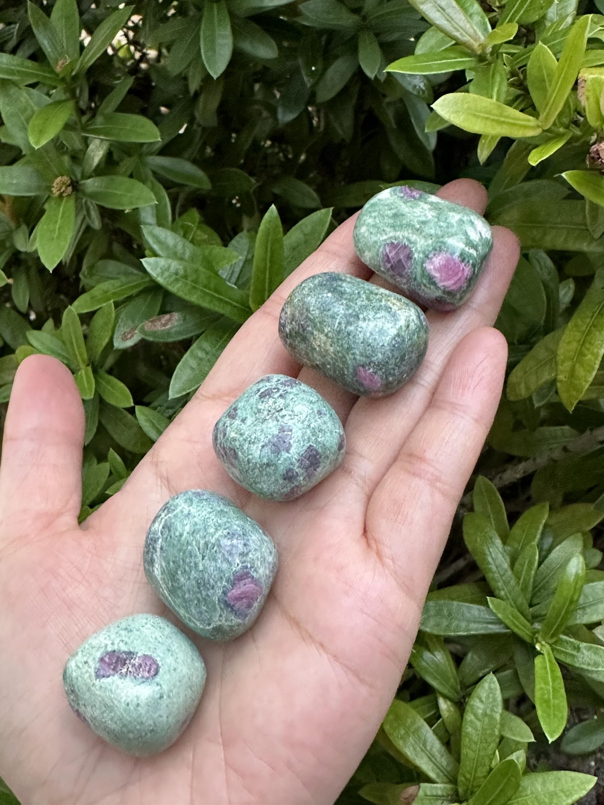 5 Pcs Ruby Fuchsite Tumbled Stones, Polished Natural Ruby Fuchsite ...