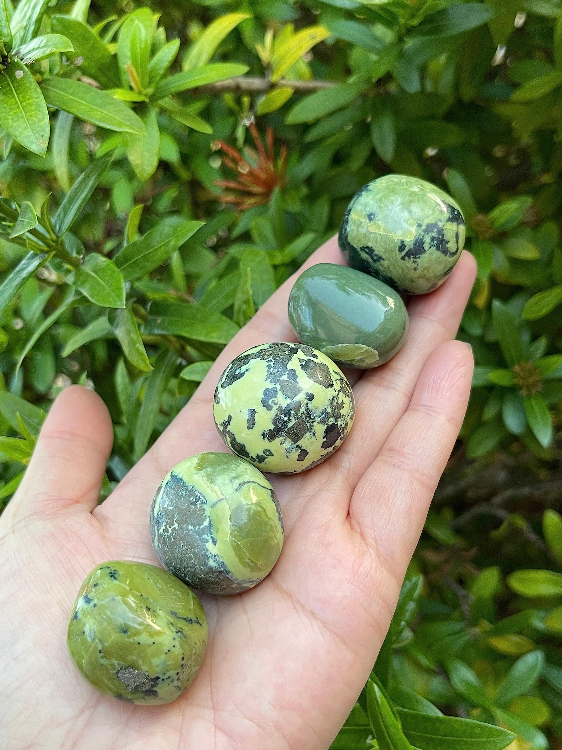 5 Pcs Serpentine Tumbled Stones, Polished Natural Serpentine Gemstone ...
