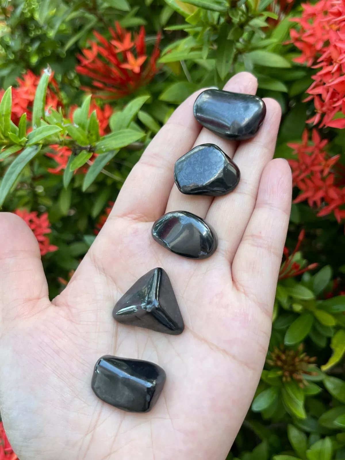 5 Pcs Shungite Tumbled Stones, Polished Natural Shungite Gemstone ...