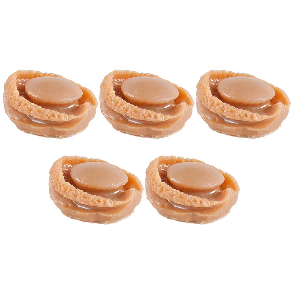 HOMEMAXS Miniature Abalone Food Model Prop Made of Safe Plastic for ...