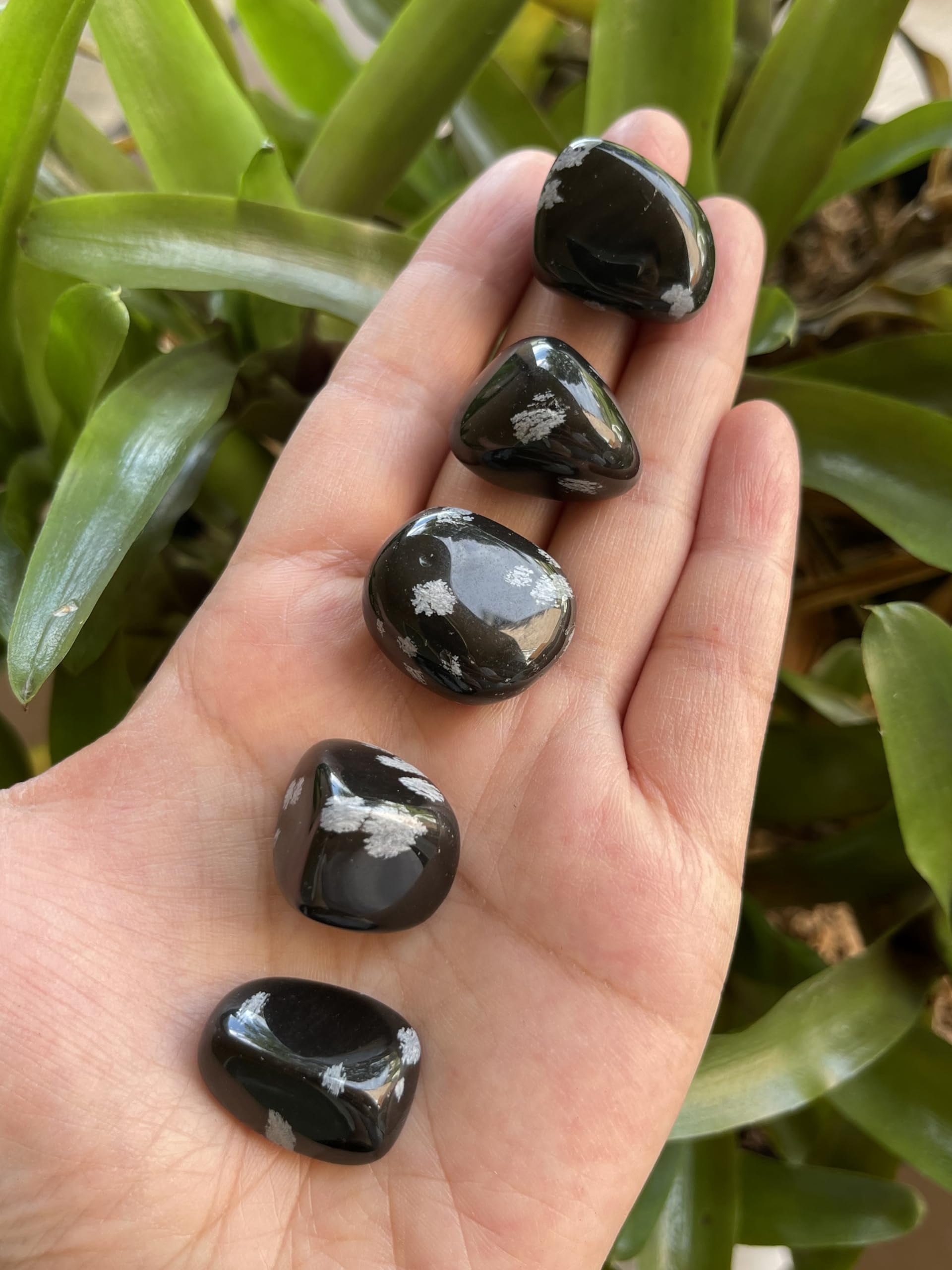 5 Pcs Snowflake Obsidian Tumbled Stones, Polished Natural Snowflake ...