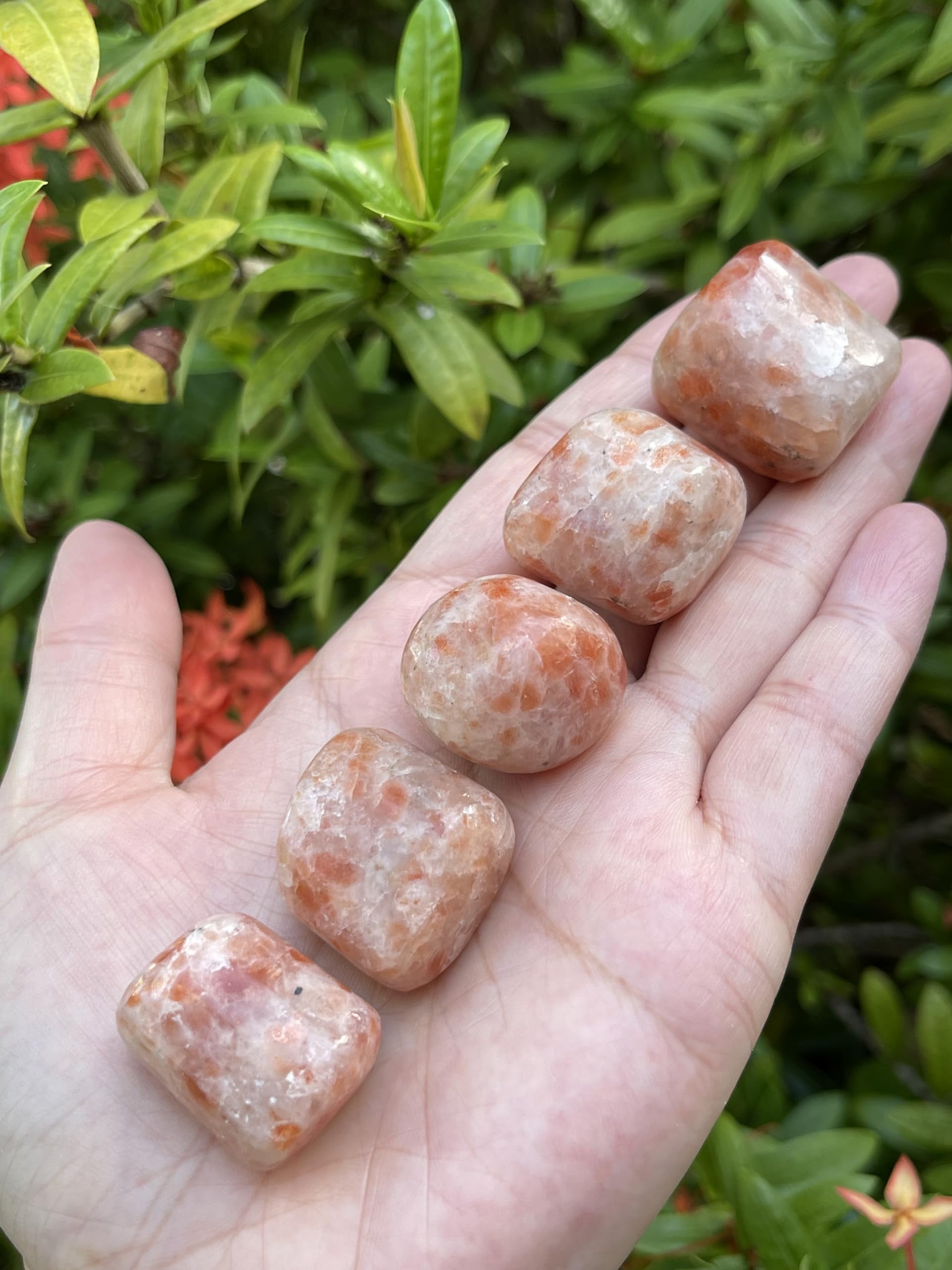 5 Pcs Sunstone Tumbled Stones, Polished Sunstone Gemstone, Sunstone ...