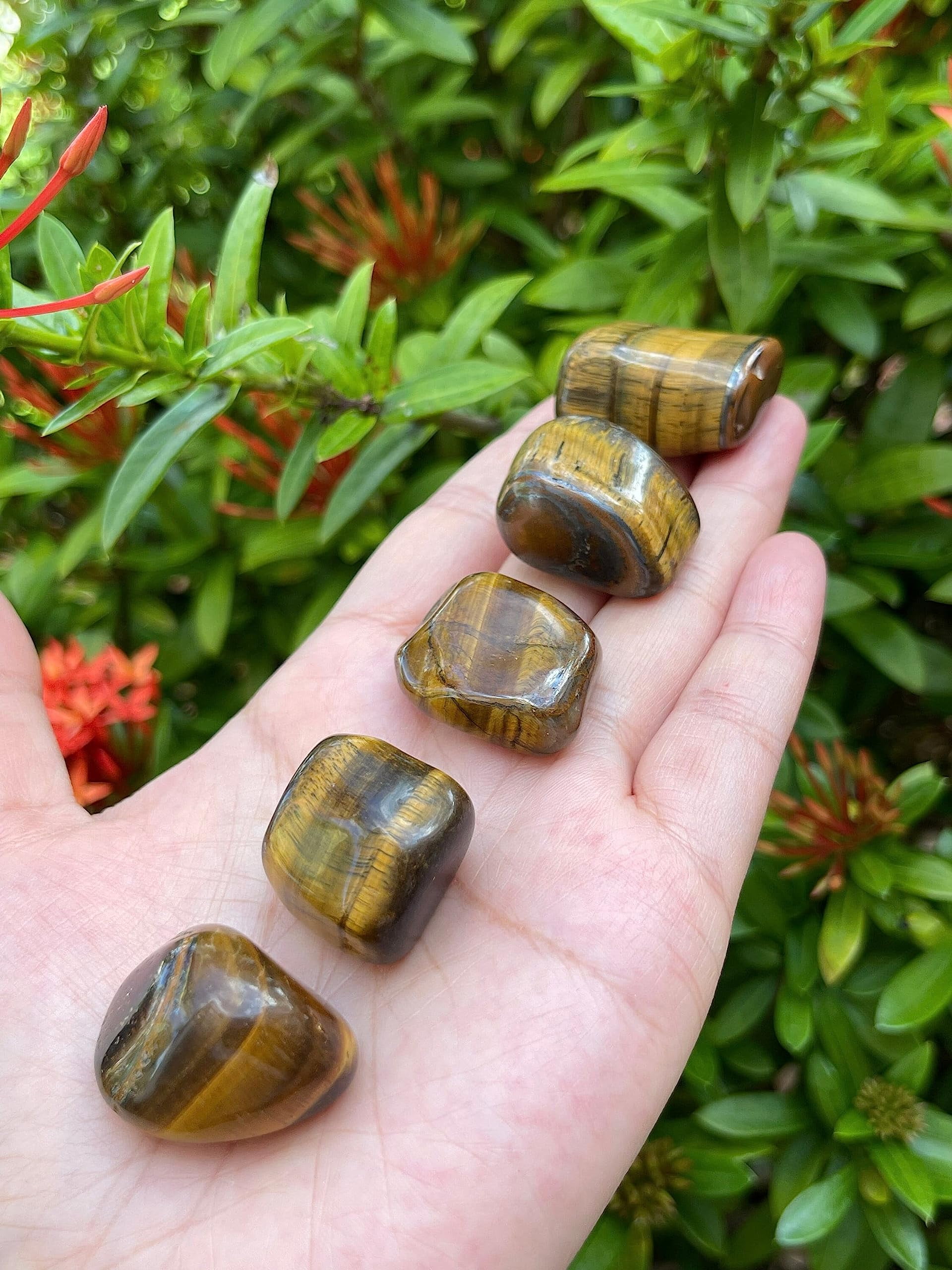 5 Pcs Tiger Eye Tumbled Stones, Polished Natural Tiger Eye Gemstone ...