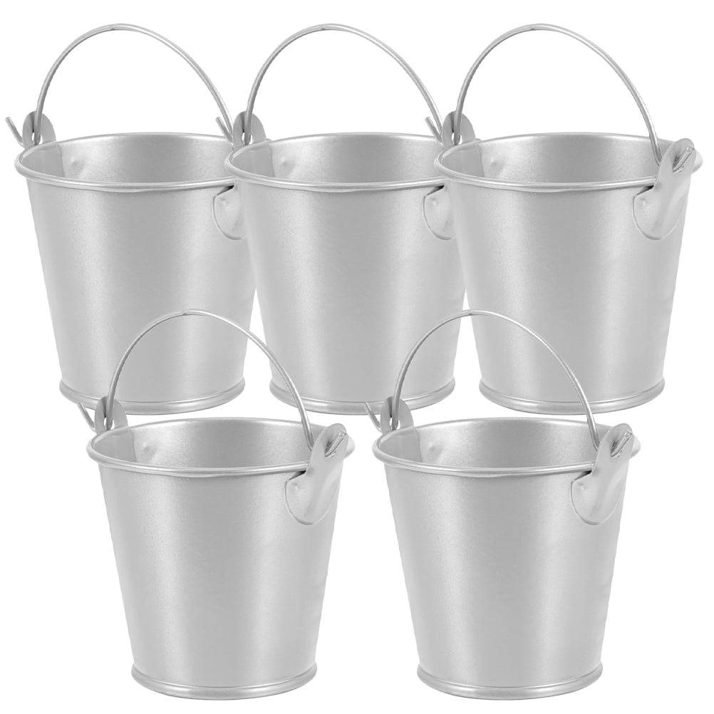 5 Pcs Tinplate Small Iron Bucket Metal Flower Pails Front Porch Planter ...