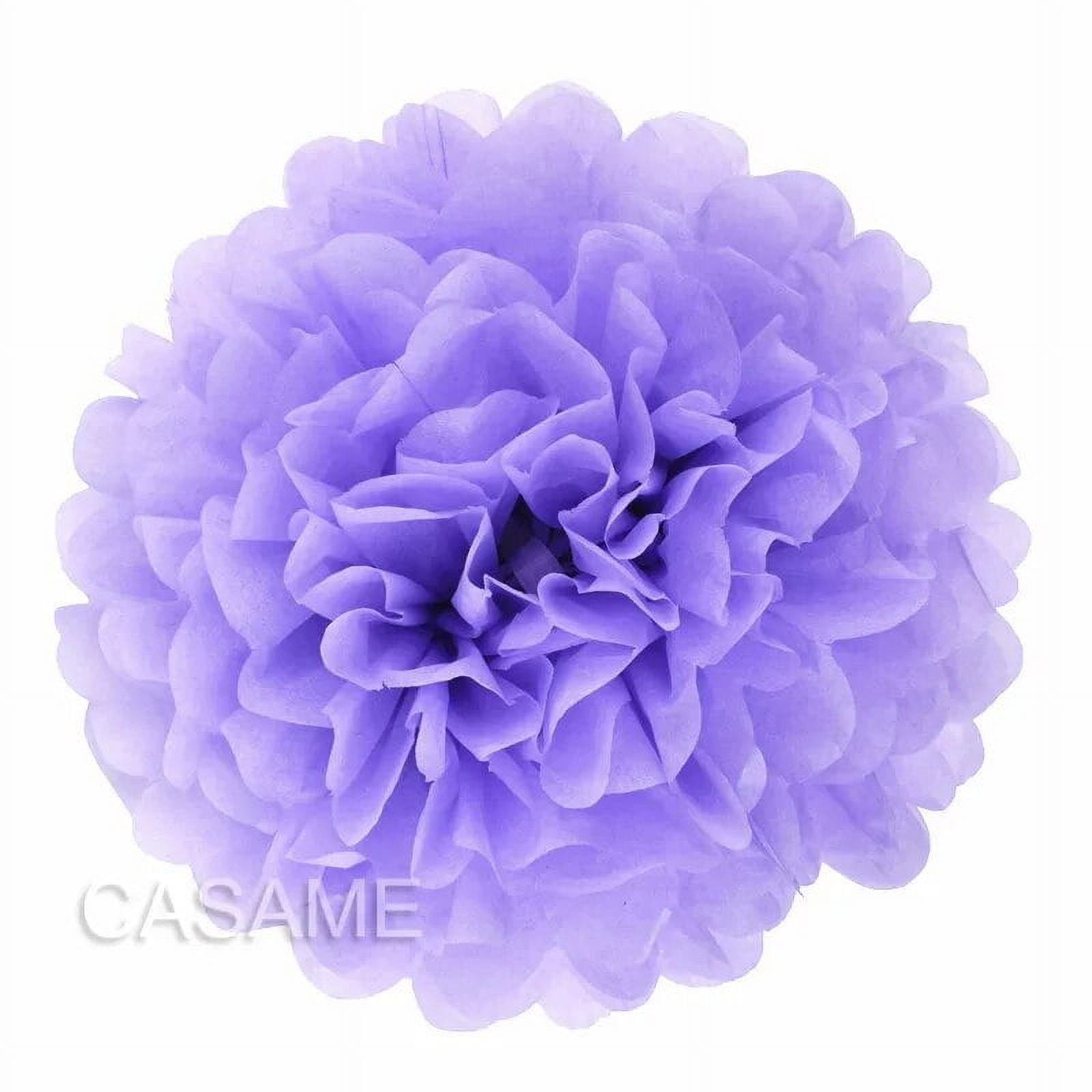 5 Pcs Tissue Paper Pompoms Flower Garland Wedding Decoration DIY Paper ...