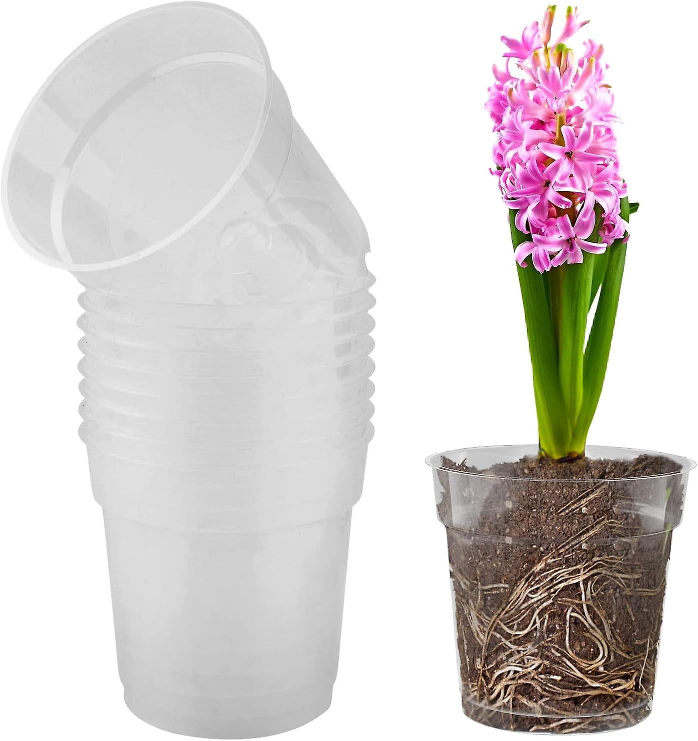 5 Pcs Transparent Plastic Plant Pots - Hard Clear Flower Pots with ...