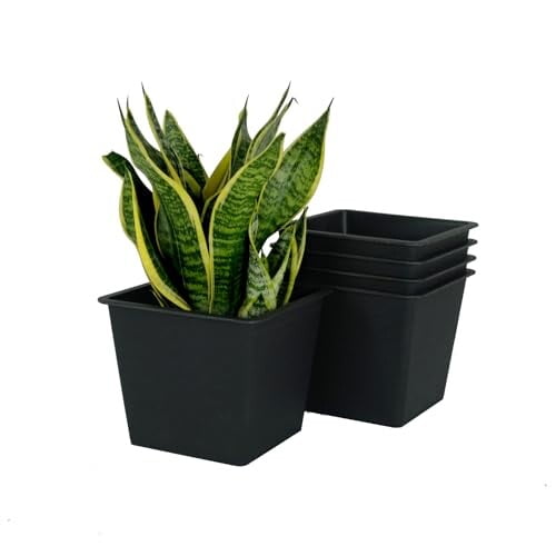 5-Piece 5" Square Nursery Plant Pot With Drainage Plug and Durable ...