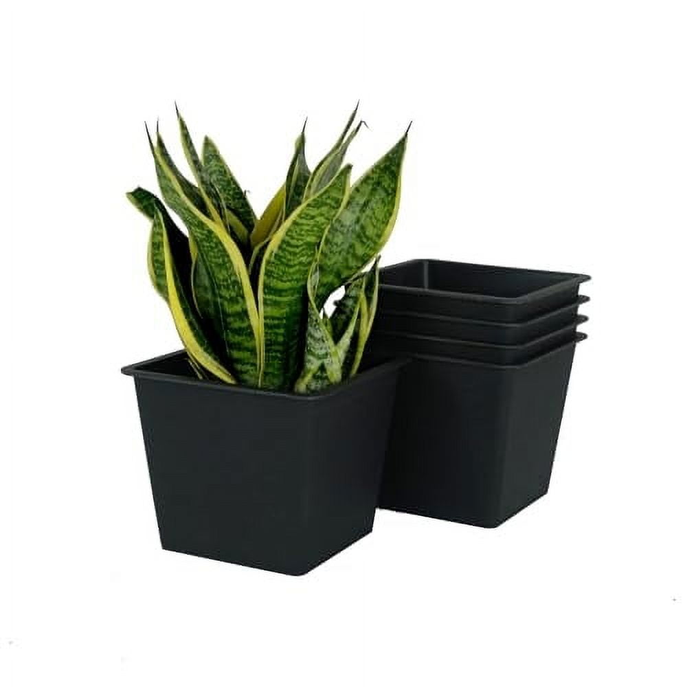 5-Piece 6.3" Square Nursery Plant Pot With Drainage Plug and Durable ...