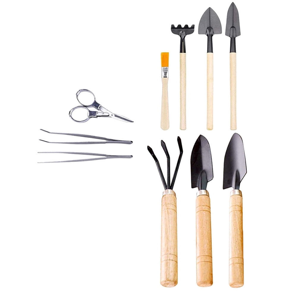 5 Pieces Bonsai Tree Planting Flower Arrangement Tool Child - Walmart.com
