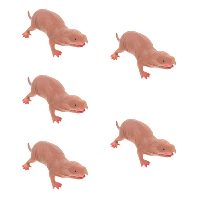 5 Pieces Mole Model Models Cartoon Mole Figurine Mole Animal Figurine ...