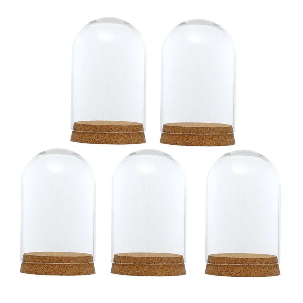 5 Pieces Transparent Glass Cloche Micro Landscape Plant Flower ...