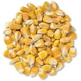 5 Pounds Deer Corn | Deer, Squirrels, Ducks Love It. Sprouts Well ...