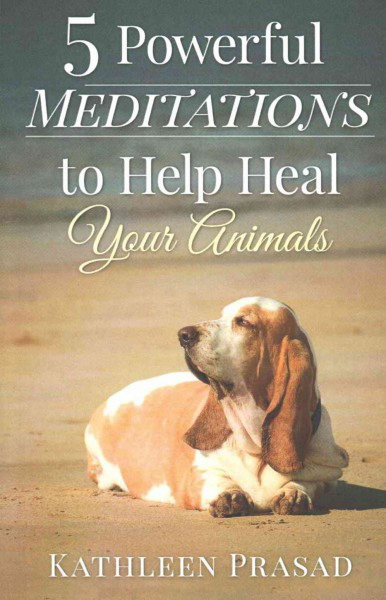 5 Powerful Meditations to Help Heal Your Animals (Paperback) - Walmart.com