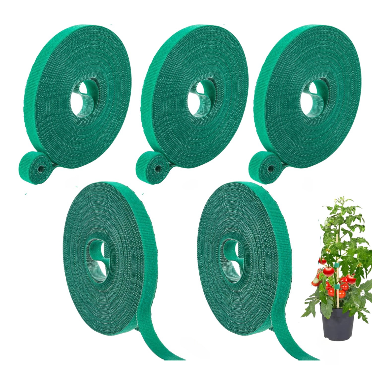5 Rolls of 0.5 Inch Wide Stretch Strapping Garden Tie Tape, Plant ...