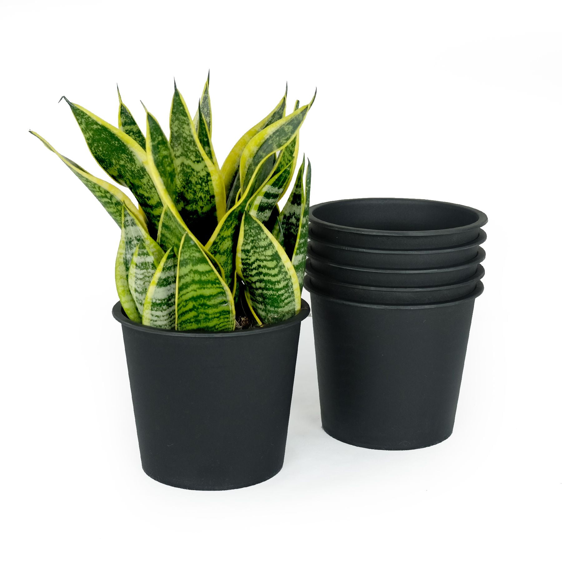 5" Round Nursery Plant Pot - Garden Plastic Pots with Drainage (5-Pack ...