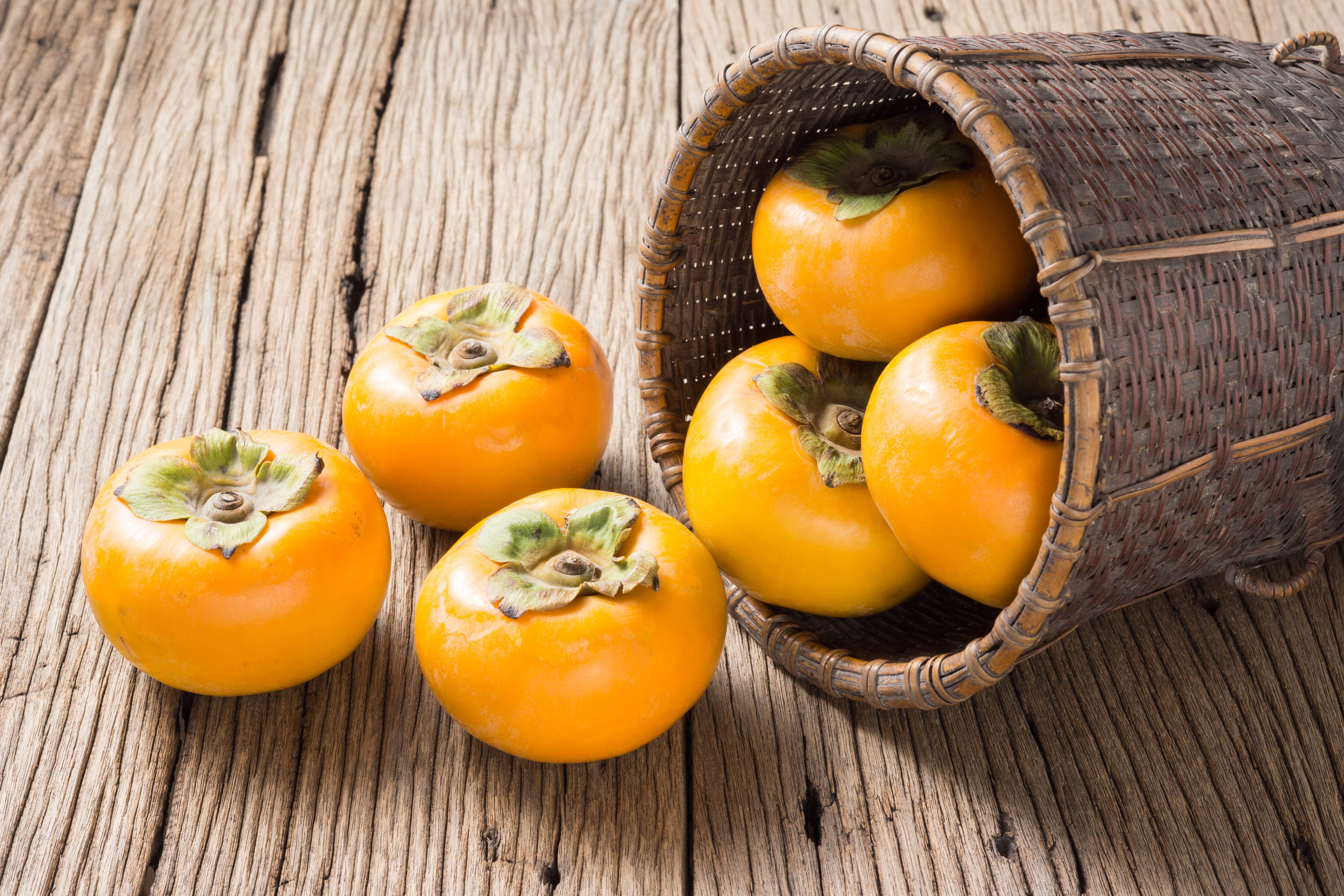 5 Pack Plant Seeds - American Persimmon Tree Diospyros Virginiana Fruit ...