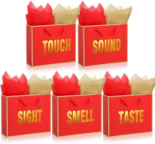 5 Senses Gift Bags for Him Her Five Senses Gift Bag with Ribbon Handles ...