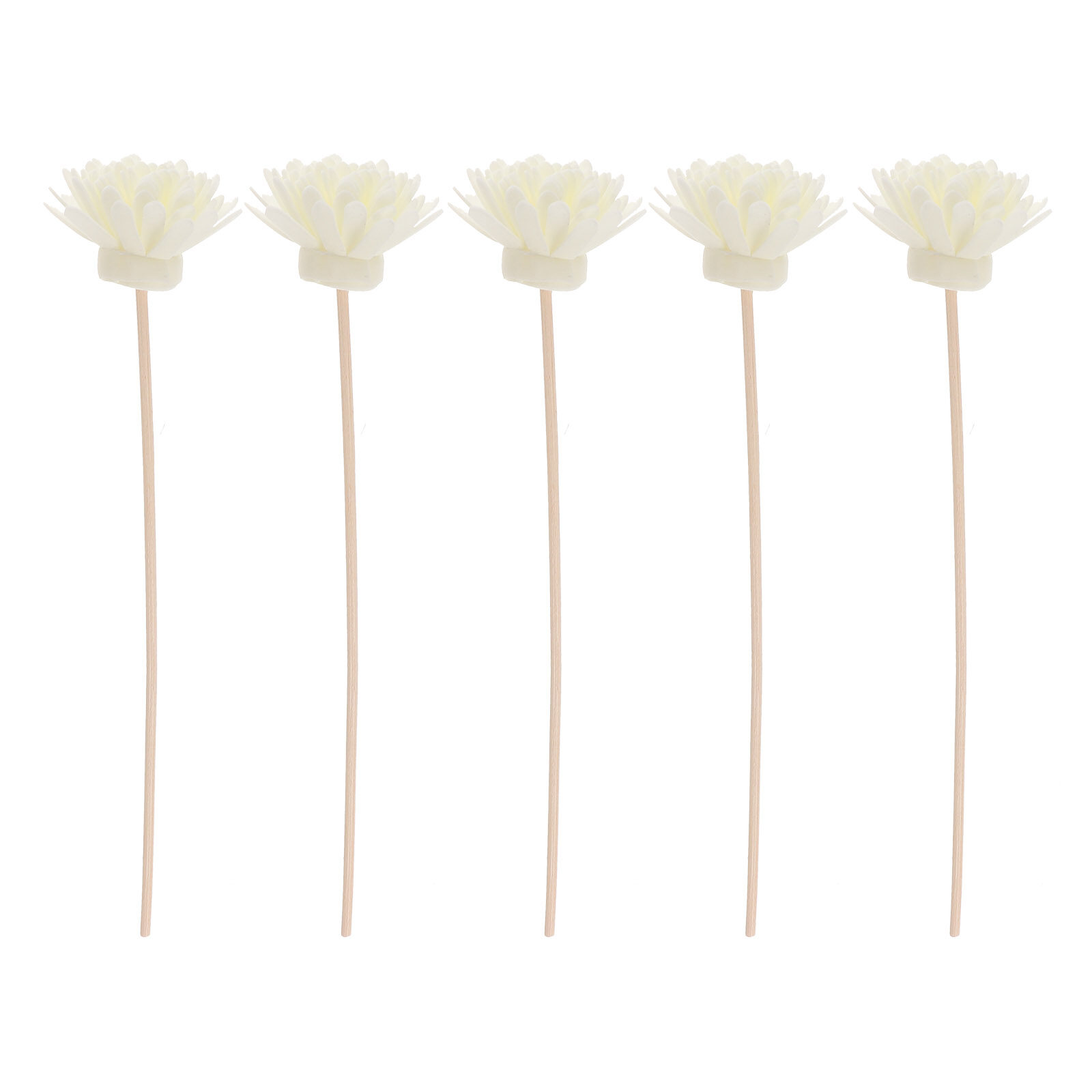5 Set Small Chrysanthemum Scented Cane Rattan Reed Sticks Natural ...